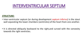 Ventricular Septal Defects | PPT