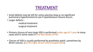 Ventricular Septal Defects | PPT
