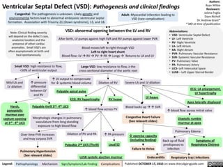 An approach to a patient with ventricular septal defect | PPSX