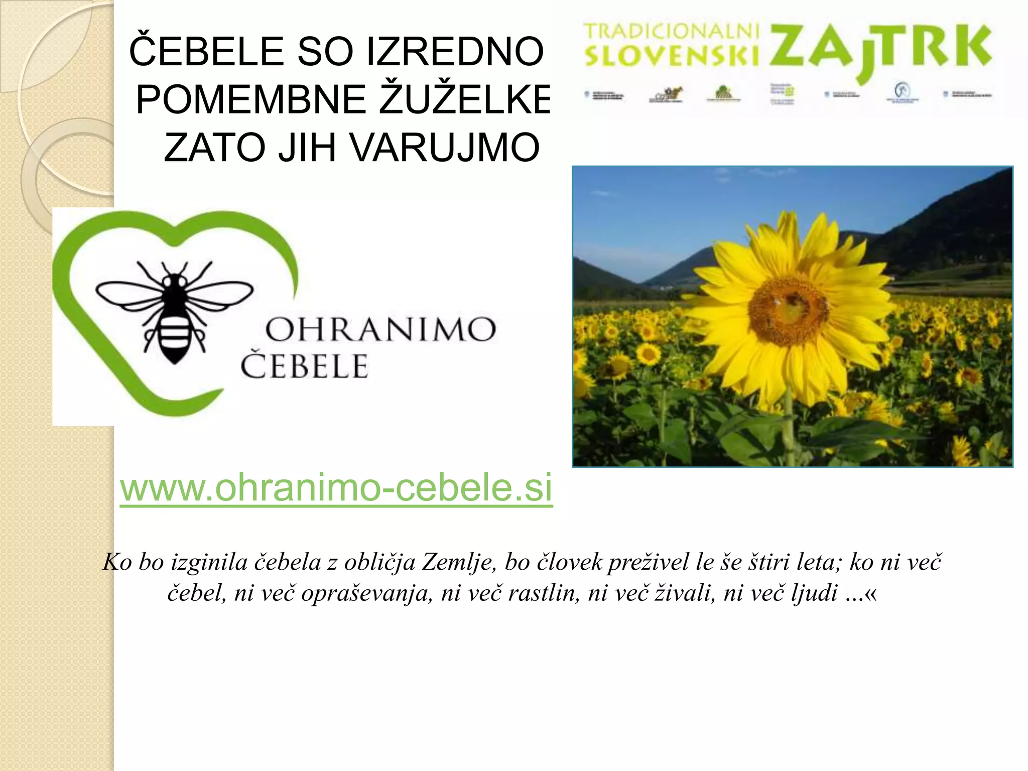 Slovenski tradicionalni zajtrk | PPTX