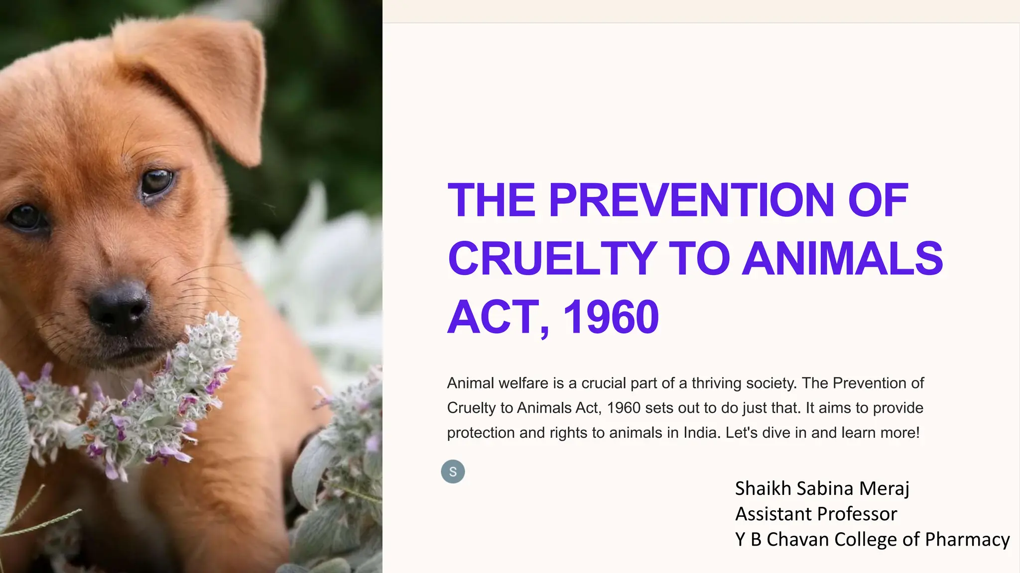 V sem pharmaceutical jurisprudence, THE-PREVENTION-OF-CRUELTY-TO ...