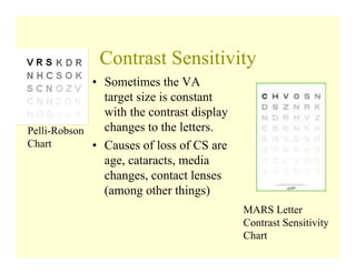 Vision Science in Optometry | PDF