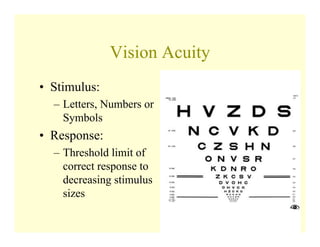 Vision Science in Optometry | PDF