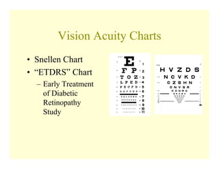 Vision Science in Optometry | PDF