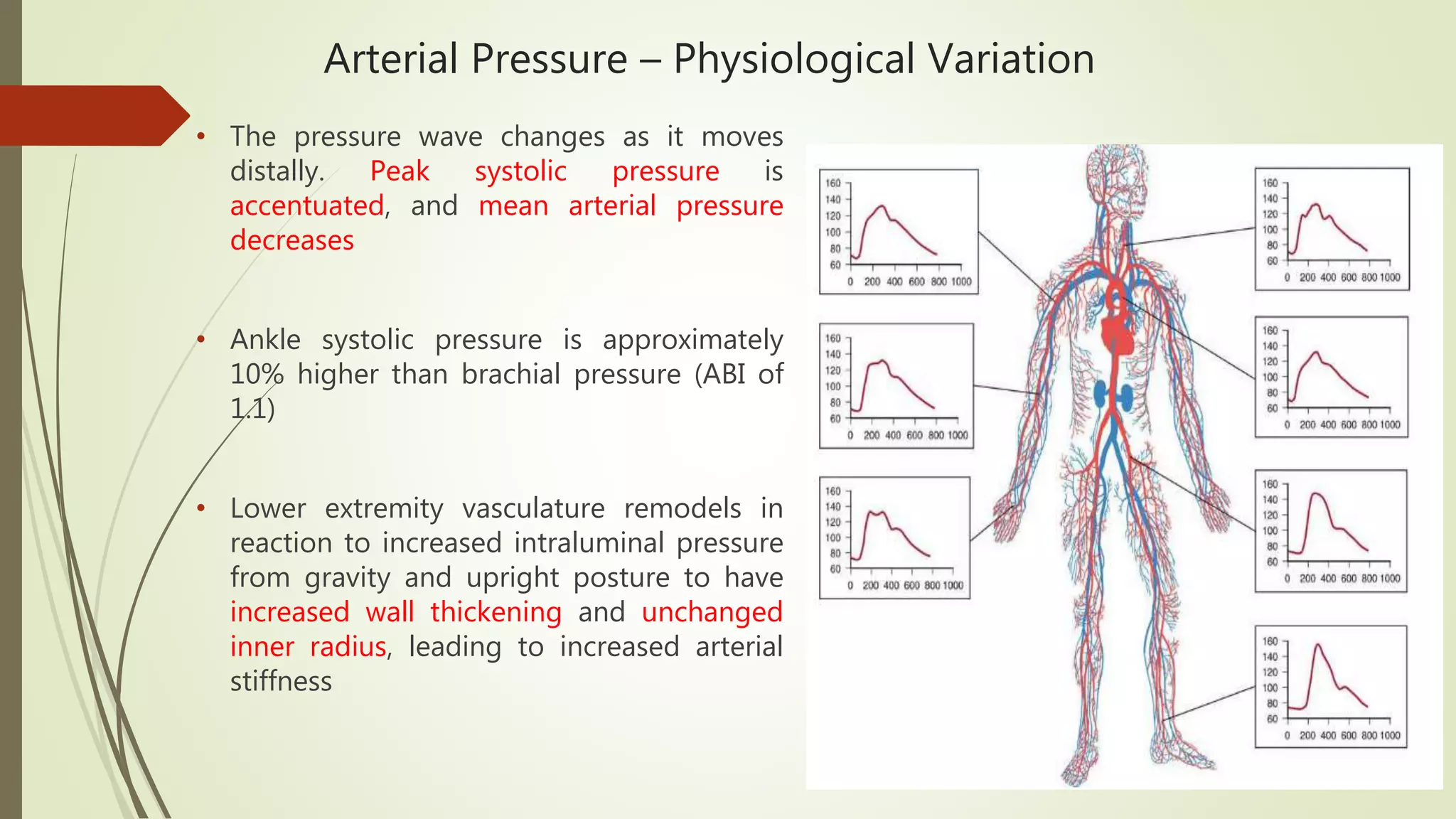 Vascular Laboratory: Arterial Physiologic Assessment & Arterial Duplex ...