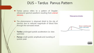 Vascular Laboratory: Arterial Physiologic Assessment & Arterial Duplex ...
