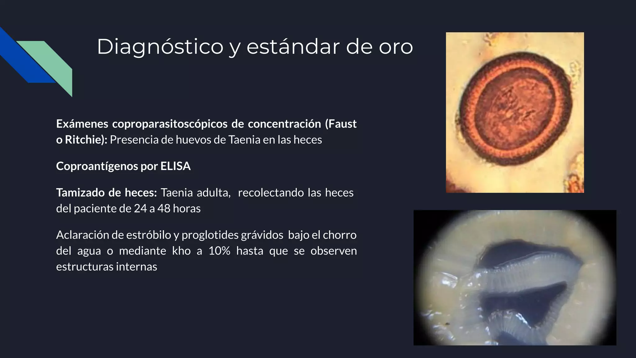 Parasitosis intestinal: Amiba, Giardia, Ascaris, Tenia, Cisticercosis y ...