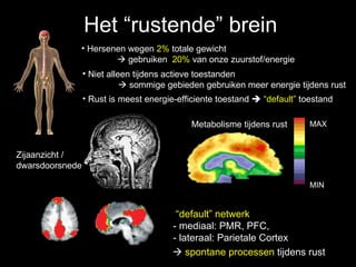 Very Short Introduction | PPT | Brain and Nervous System Disorders ...