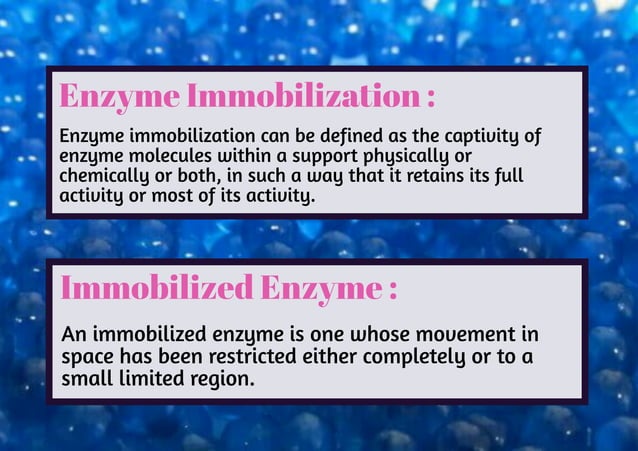 immobilization_of_enzyme.pdf