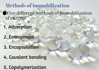 immobilization_of_enzyme.pdf