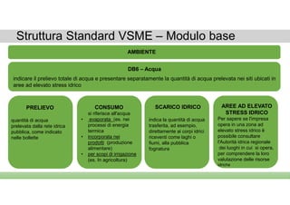 VSME ESRS Standard Volontario per le PMI non quotate | PDF