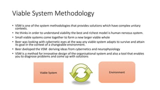 A Viable System Model Approach to the Organisational Structure of the ...