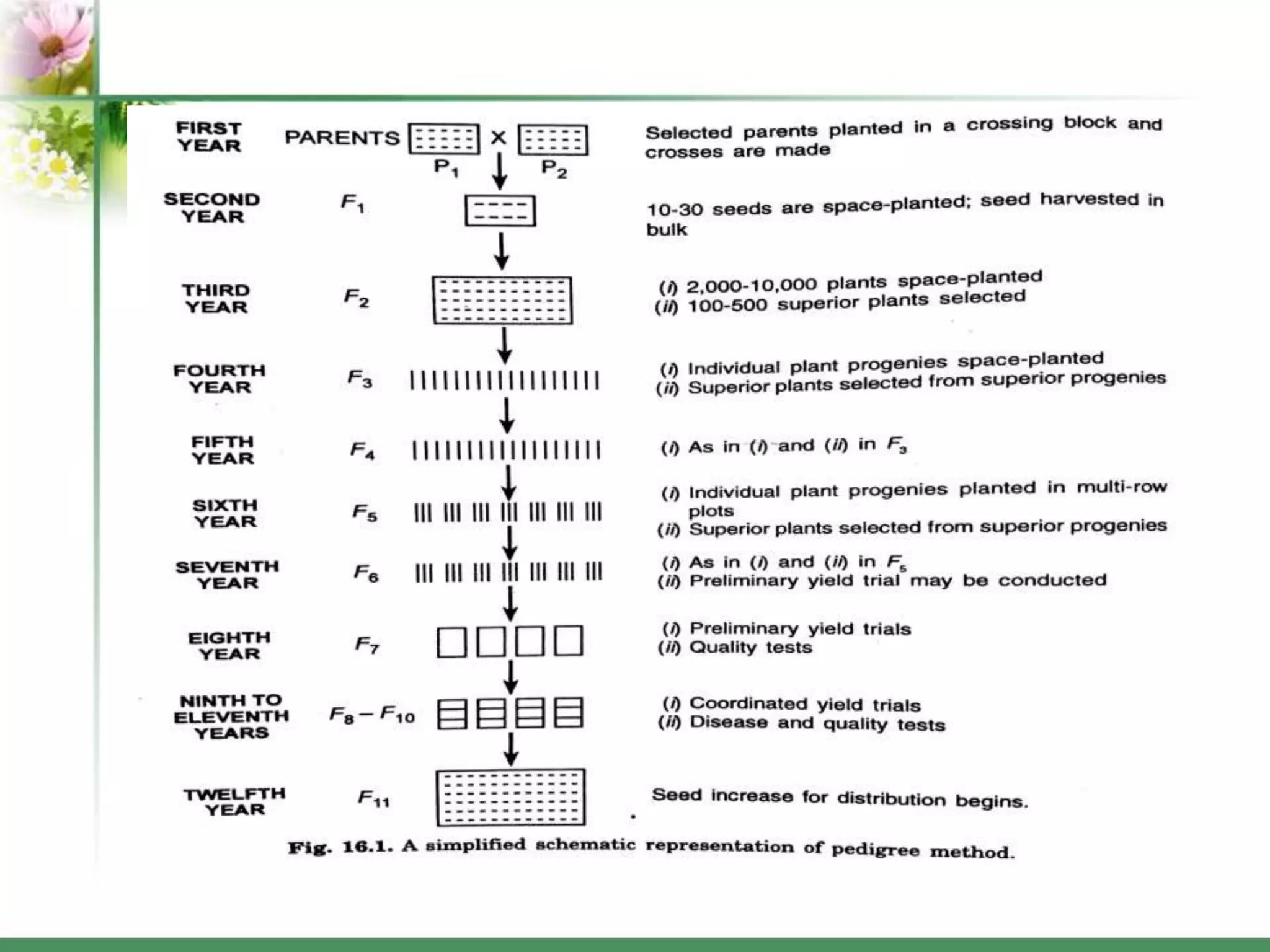 Breeding methods in cross pollinated crops with major emphasis on ...