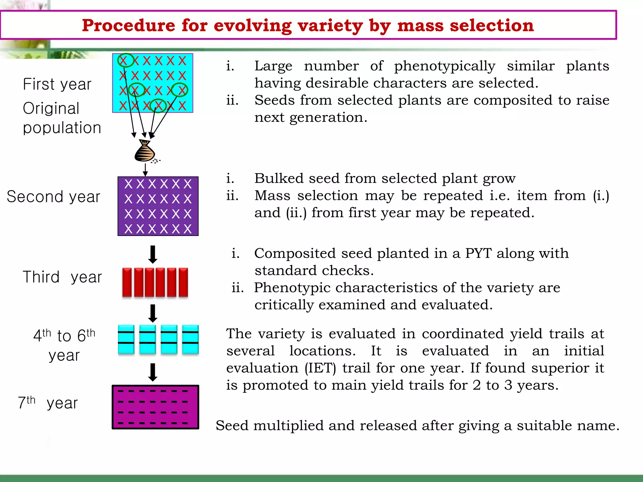 Breeding methods in cross pollinated crops with major emphasis on ...