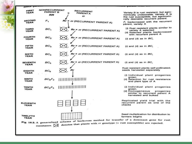 Breeding methods in cross pollinated crops with major emphasis on ...