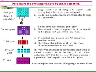 Breeding methods in cross pollinated crops with major emphasis on ...