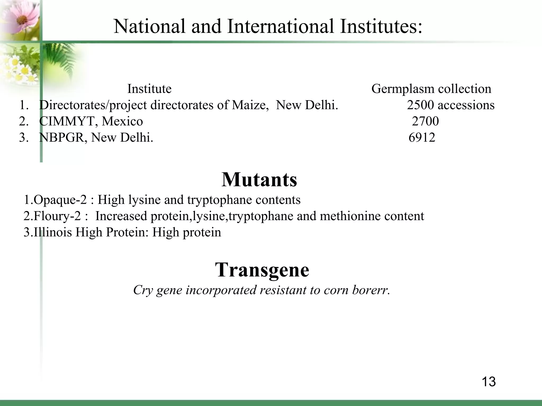 HISTORY, DISCRIPTION, CLASSIFICATION, ORIGIN AND PHYLOGENETIC ...