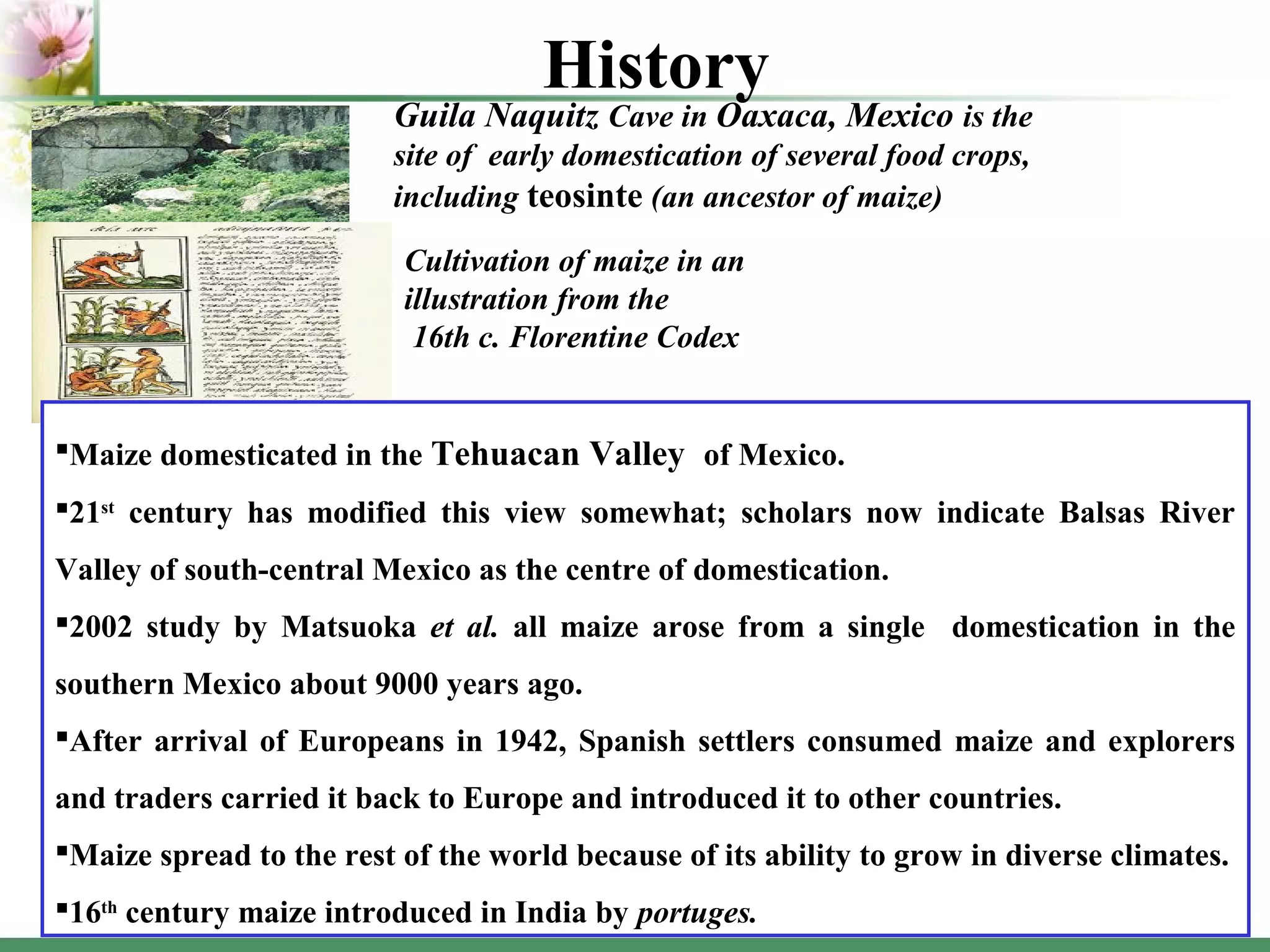 HISTORY, DISCRIPTION, CLASSIFICATION, ORIGIN AND PHYLOGENETIC ...