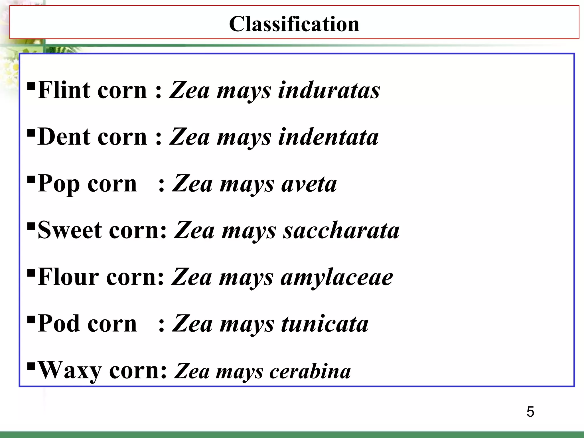 HISTORY, DISCRIPTION, CLASSIFICATION, ORIGIN AND PHYLOGENETIC ...