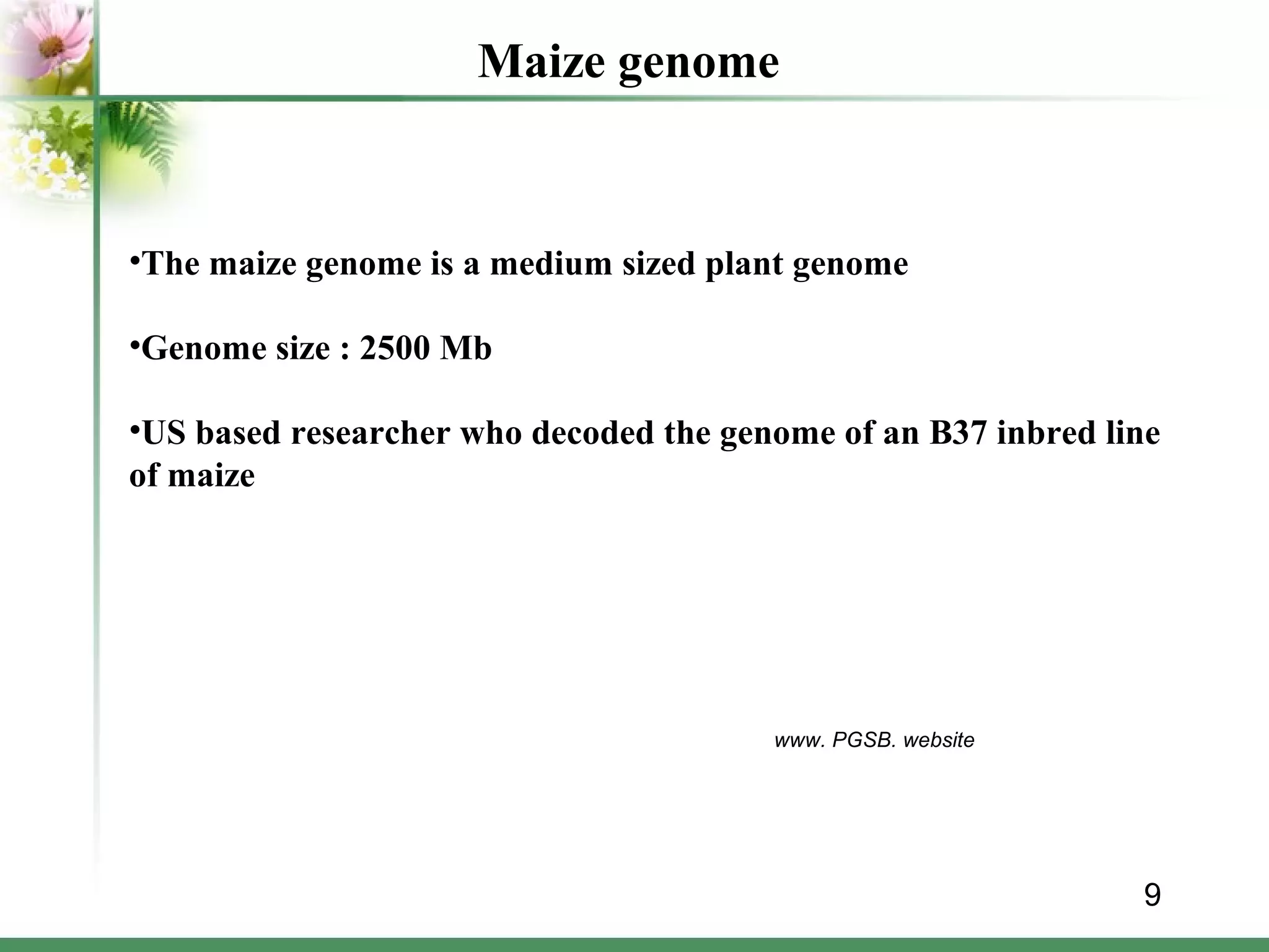 HISTORY, DISCRIPTION, CLASSIFICATION, ORIGIN AND PHYLOGENETIC ...