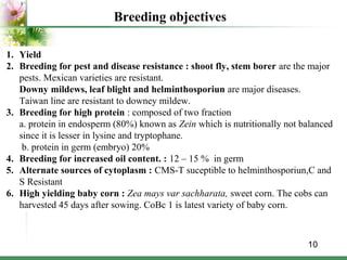 HISTORY, DISCRIPTION, CLASSIFICATION, ORIGIN AND PHYLOGENETIC ...