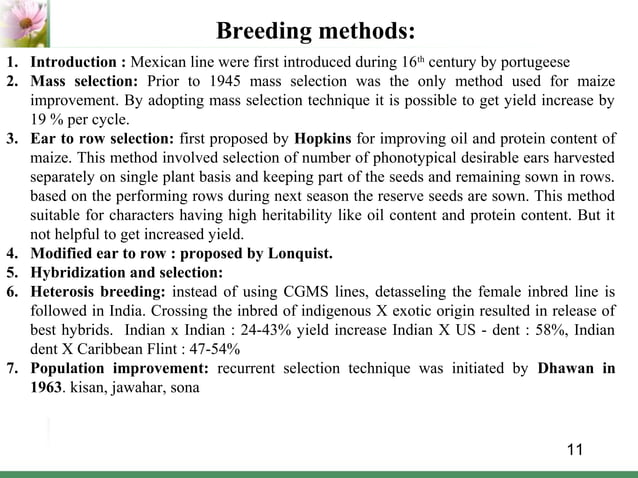HISTORY, DISCRIPTION, CLASSIFICATION, ORIGIN AND PHYLOGENETIC ...