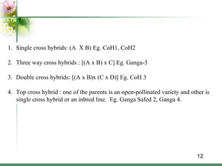 HISTORY, DISCRIPTION, CLASSIFICATION, ORIGIN AND PHYLOGENETIC ...