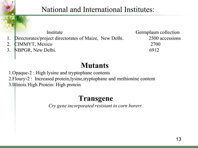 HISTORY, DISCRIPTION, CLASSIFICATION, ORIGIN AND PHYLOGENETIC ...