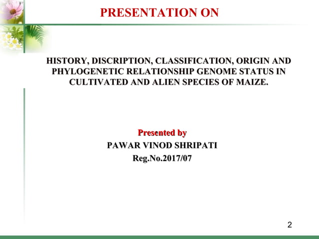 HISTORY, DISCRIPTION, CLASSIFICATION, ORIGIN AND PHYLOGENETIC ...