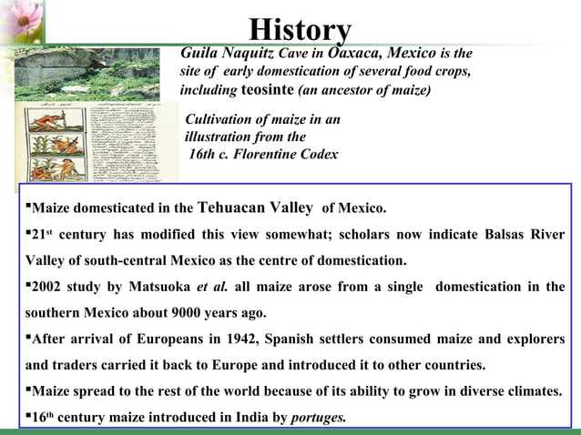 HISTORY, DISCRIPTION, CLASSIFICATION, ORIGIN AND PHYLOGENETIC ...