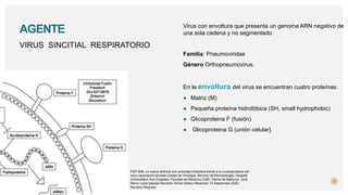 VIRUS SINCITIAL RESPIRATORIO | PPTX