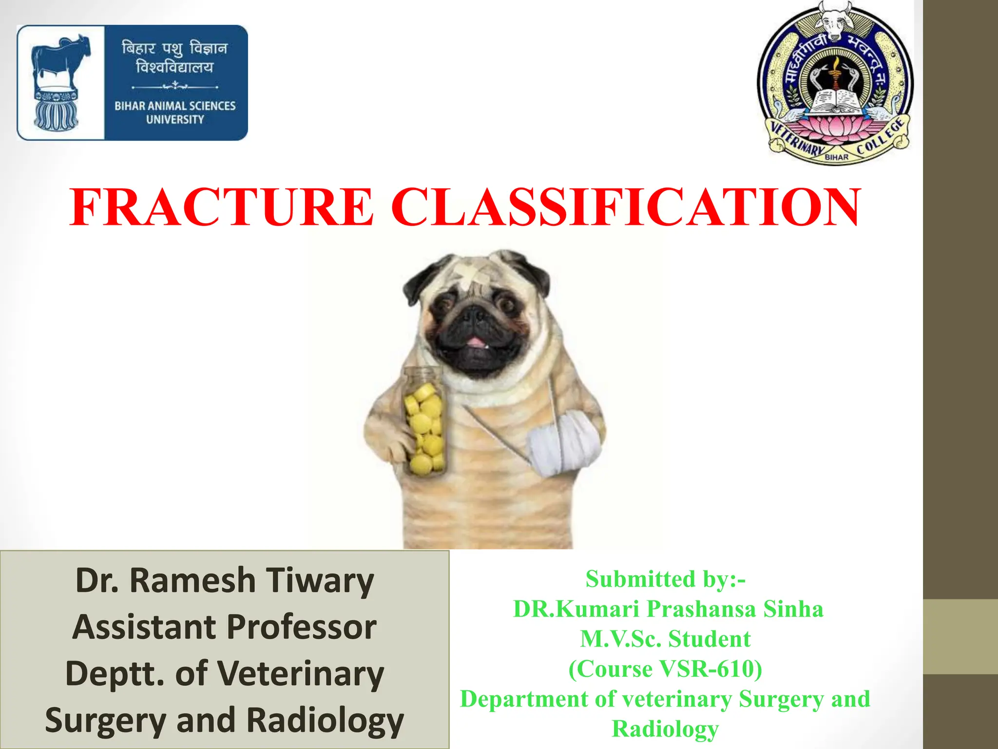 VSR610_PPT_Fracture.pptx classification of fractures | PPT