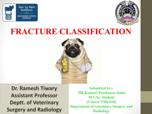 VSR610_PPT_Fracture.pptx classification of fractures | PPT