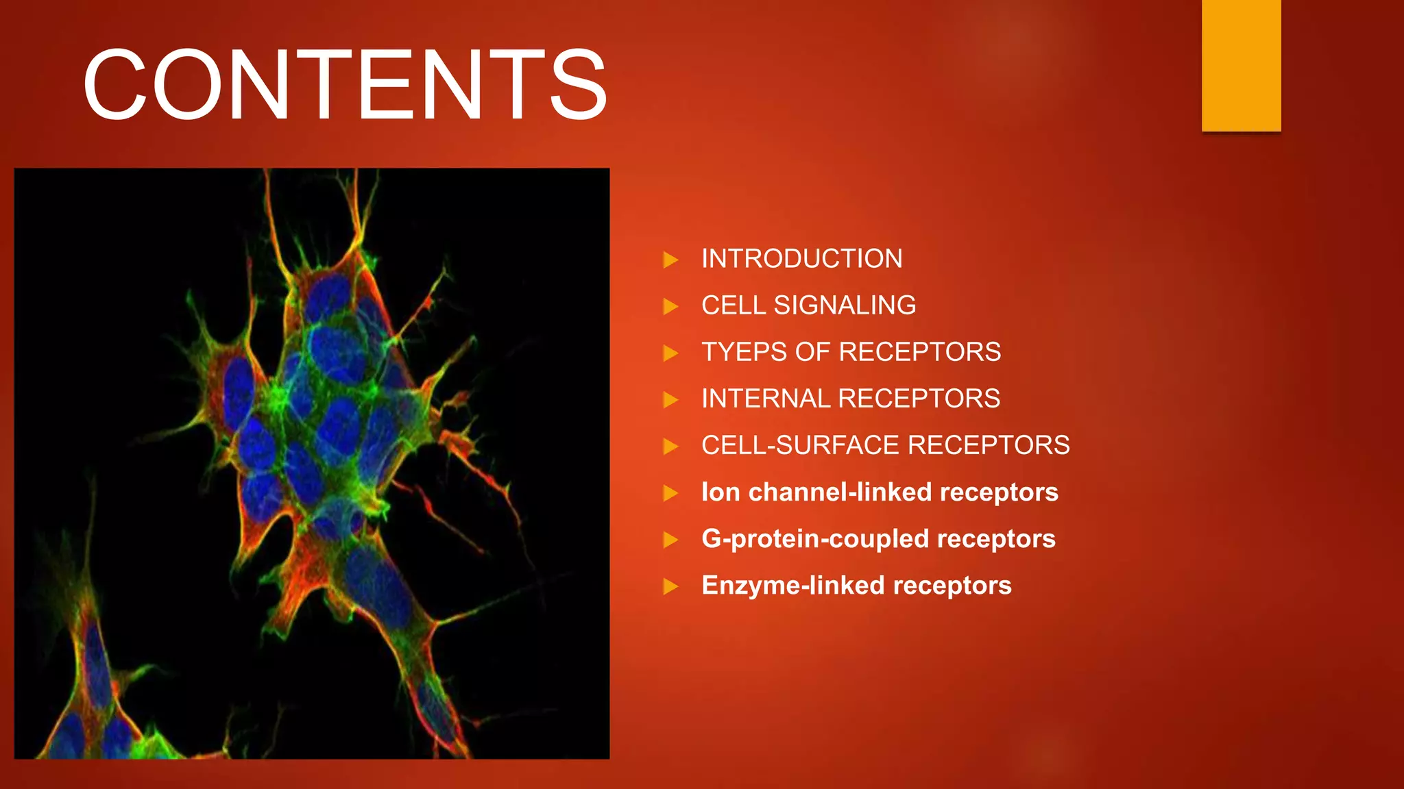 TYPES OF CELL SIGNALING RECEPTORS | PPTX