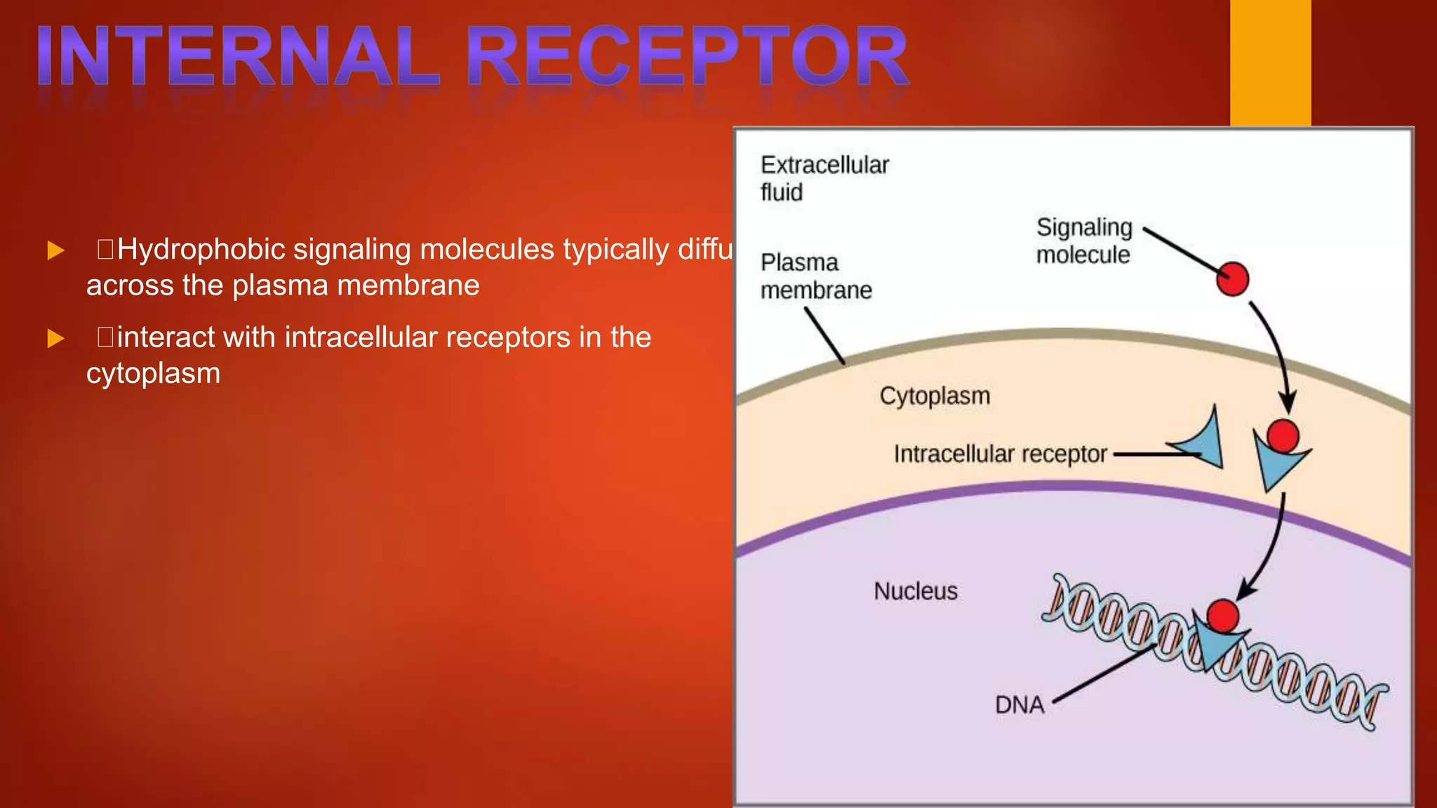 TYPES OF CELL SIGNALING RECEPTORS | PPTX