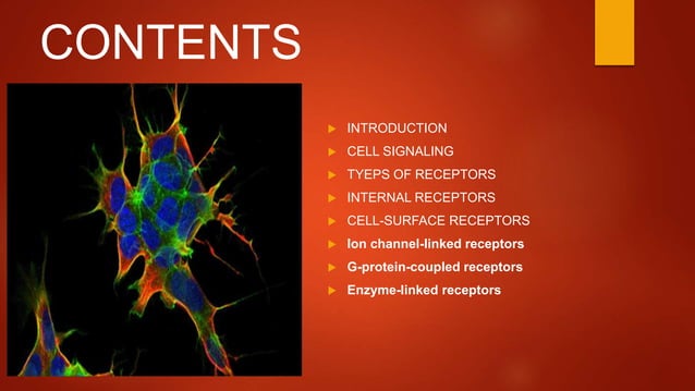 TYPES OF CELL SIGNALING RECEPTORS | PPTX | Endocrine and Metabolic Diseases | Diseases and ...