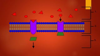 TYPES OF CELL SIGNALING RECEPTORS | PPTX