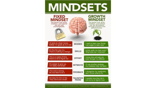 The Power of Mindsets | PDF