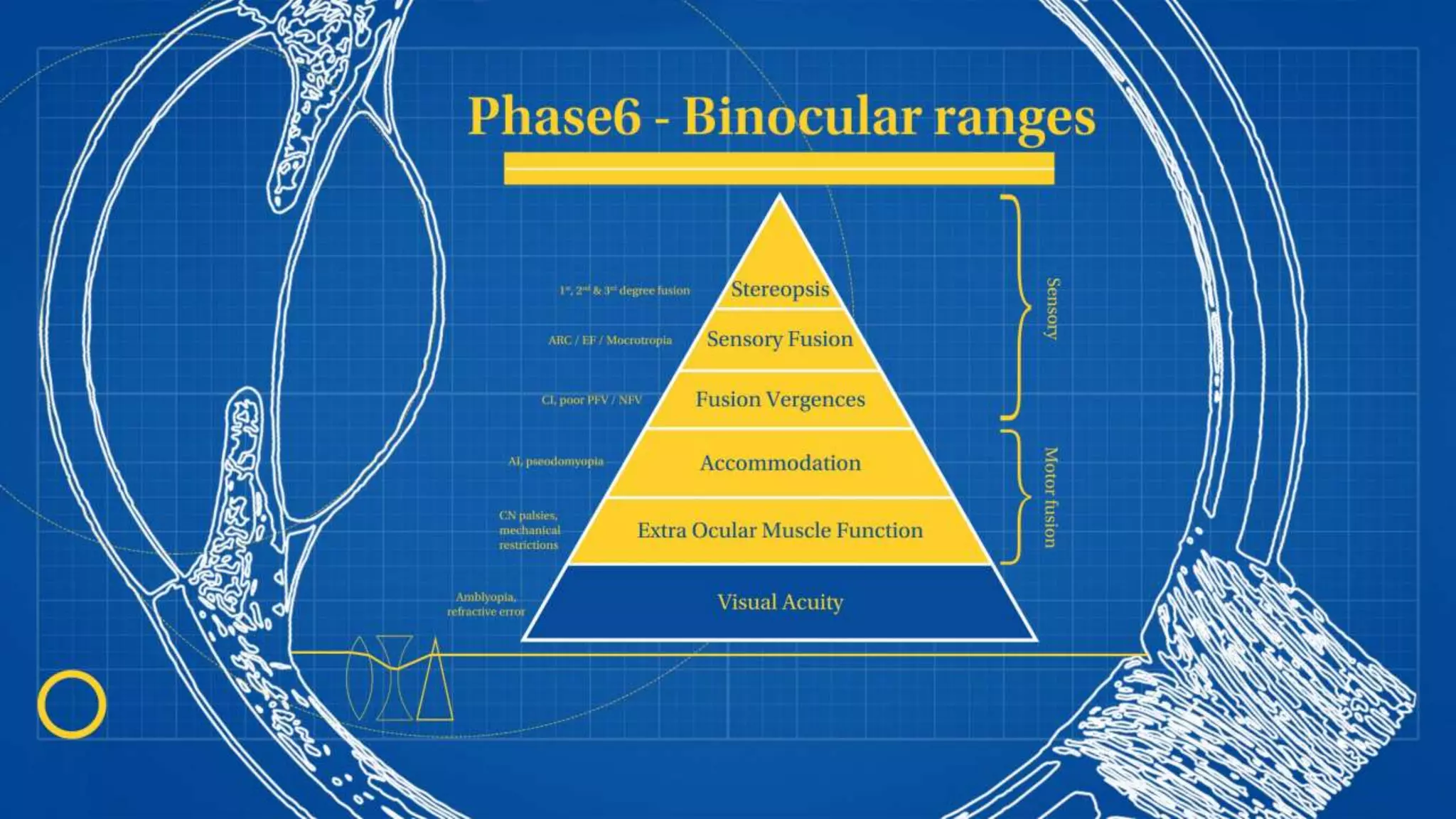 Vision Therapy | PPT