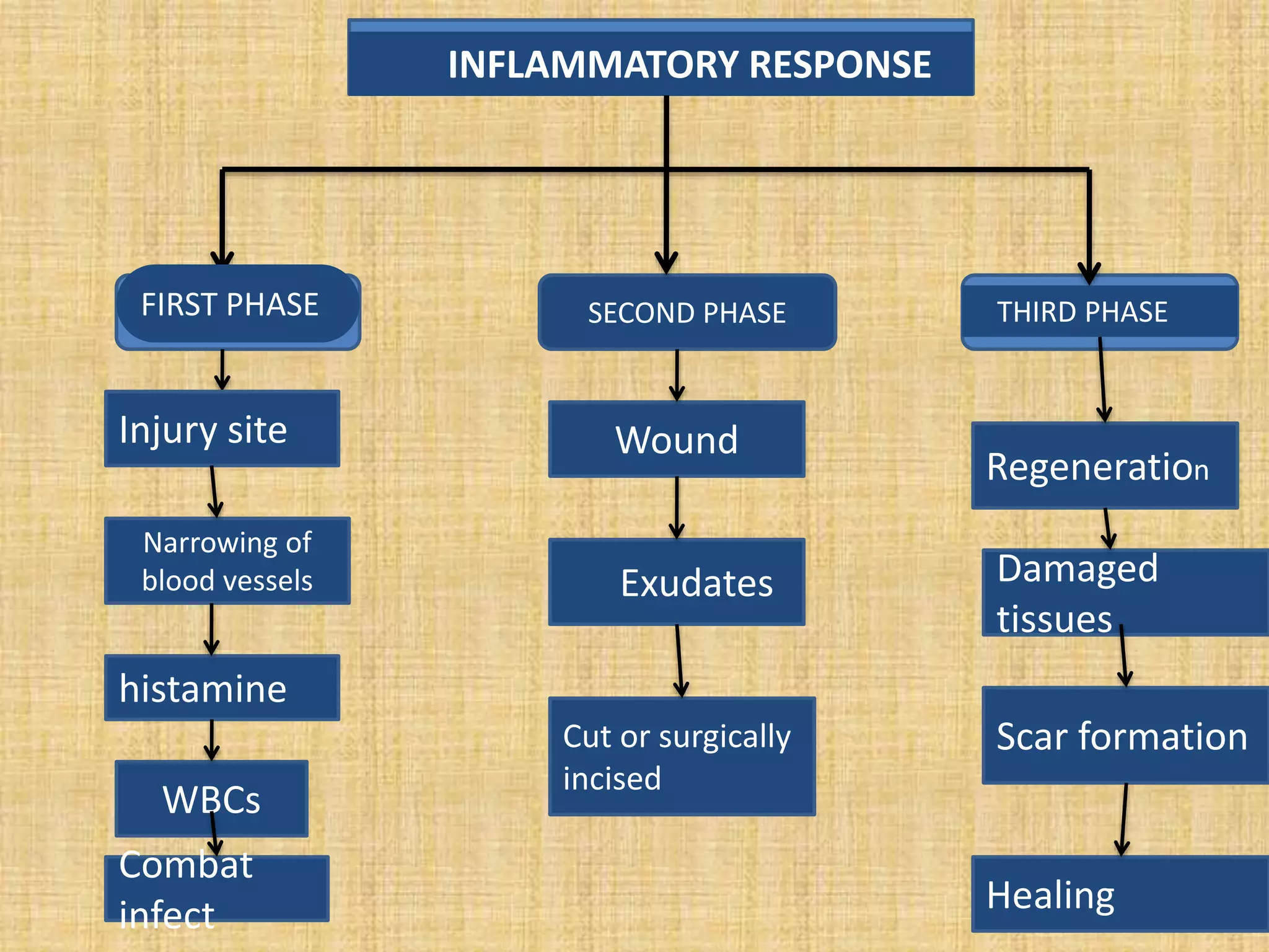 pathophisiology_and_psychodynamics_of_disease_causation.pptx