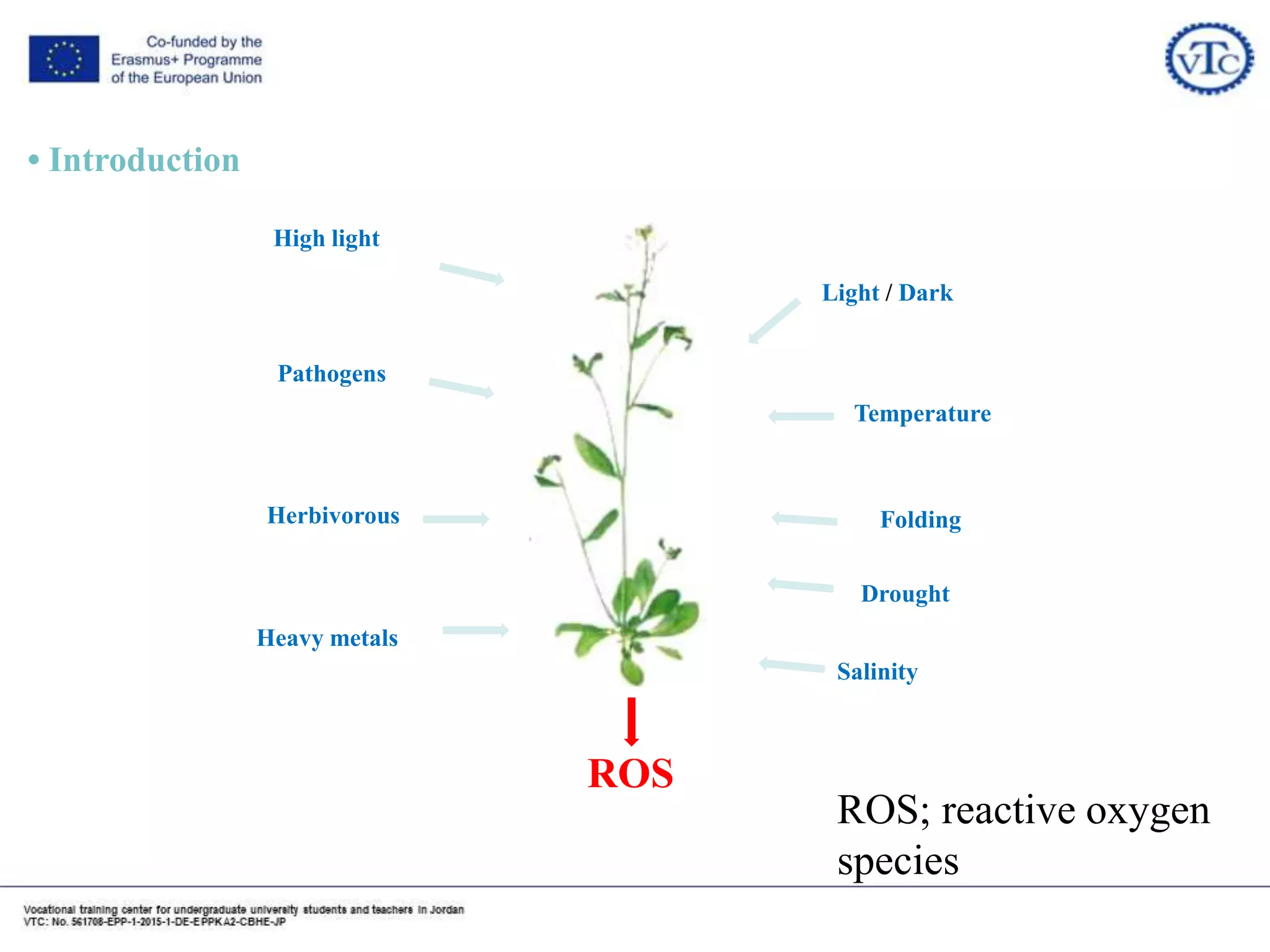 Plant sensing and responding to stress | PPTX