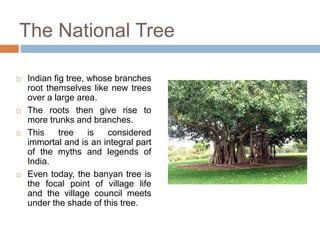 TRADITIONAL INDIA | PPTX