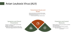 VERTICALLY TRANSMITTED DISEASES IN POULTRY | PPTX