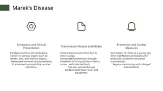 VERTICALLY TRANSMITTED DISEASES IN POULTRY | PPTX