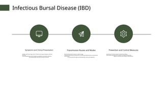 VERTICALLY TRANSMITTED DISEASES IN POULTRY | PPTX
