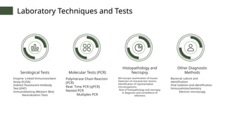 VERTICALLY TRANSMITTED DISEASES IN POULTRY | PPTX