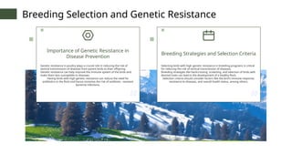 VERTICALLY TRANSMITTED DISEASES IN POULTRY | PPTX