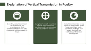 VERTICALLY TRANSMITTED DISEASES IN POULTRY | PPTX