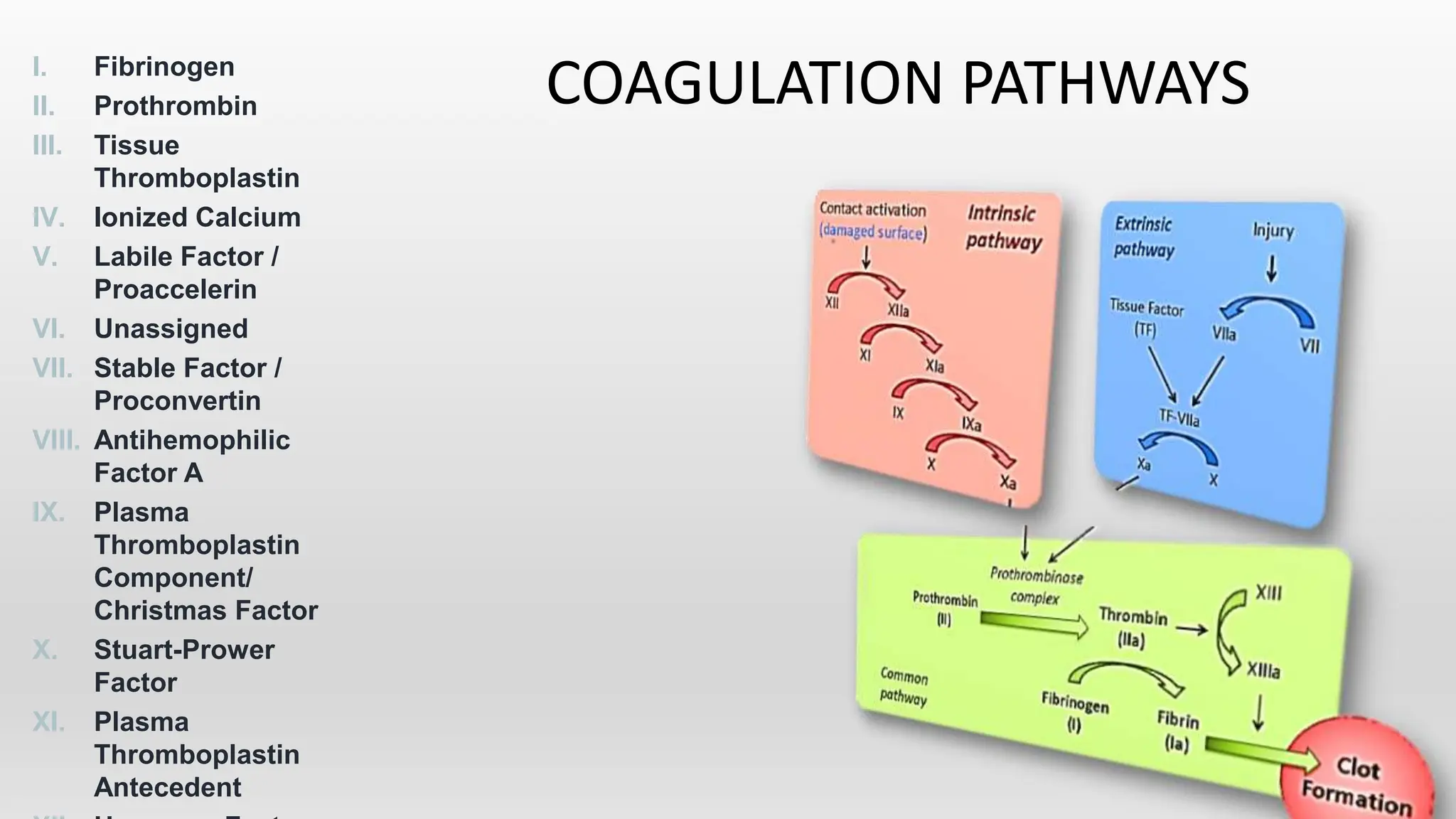 Pulmonary and venous thromboembolism.pptx