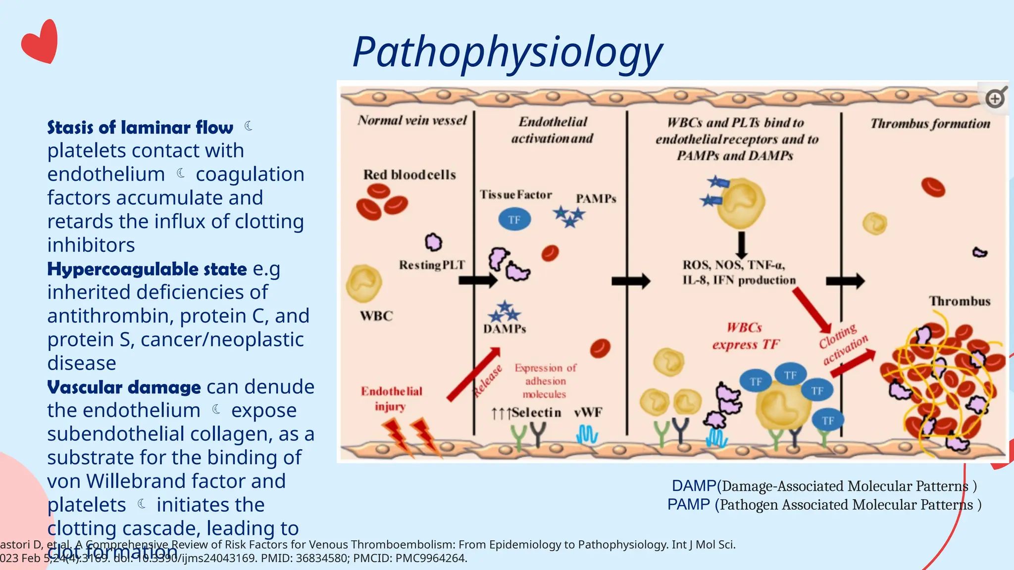 VTE-DVT-PE explanation etiology patophysiology.pptx